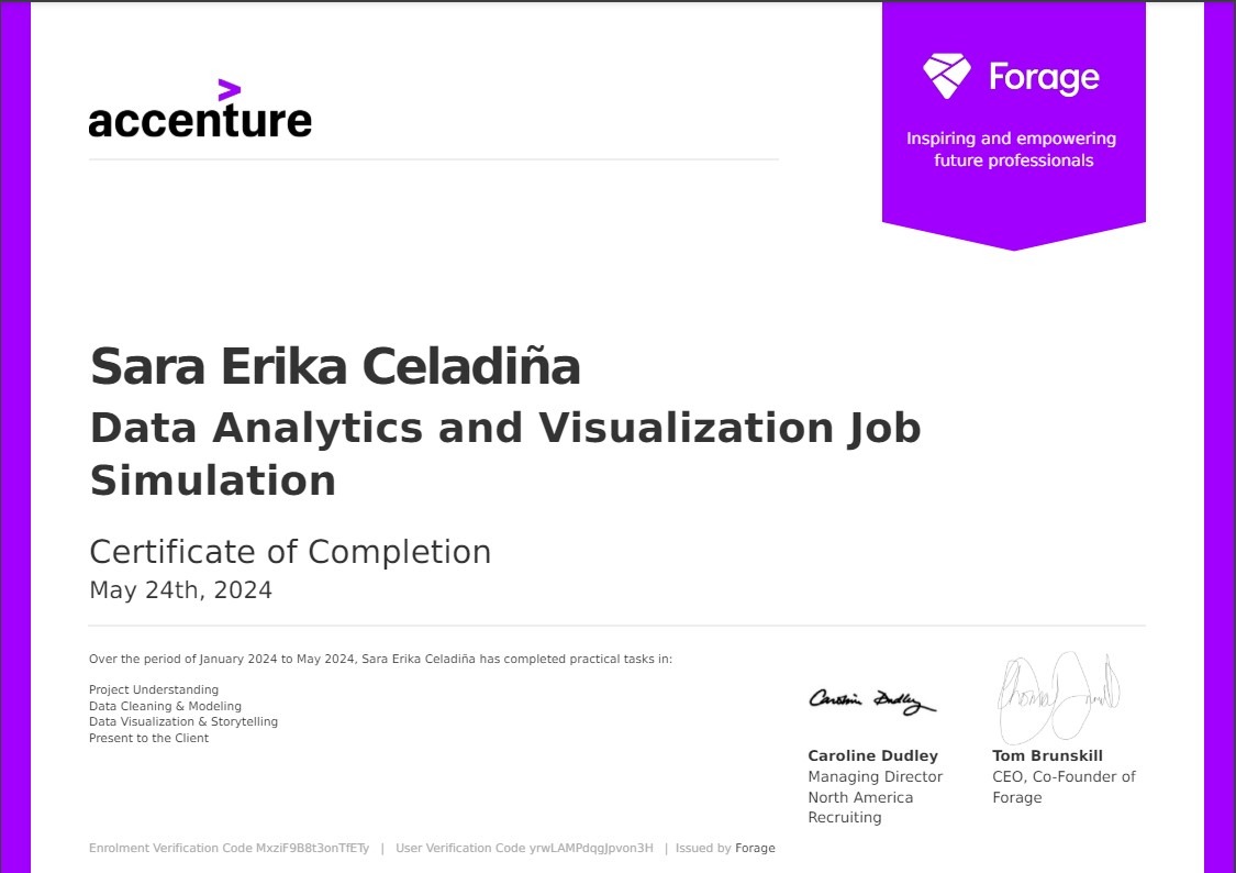 Internships - Sara Erika Portfolio